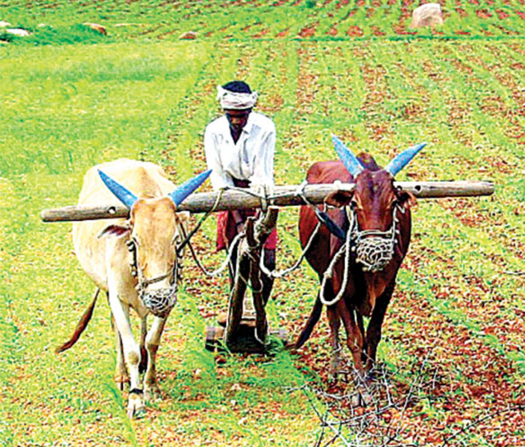 Will agri reforms solve the problem of distressed farmers? – Track2Training