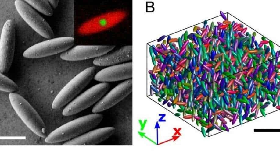Scientists discover new state of matter: Liquid Glass – Track2Training