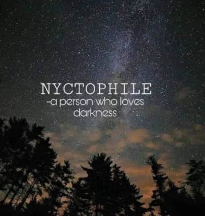 Nyctophile – Track2Training