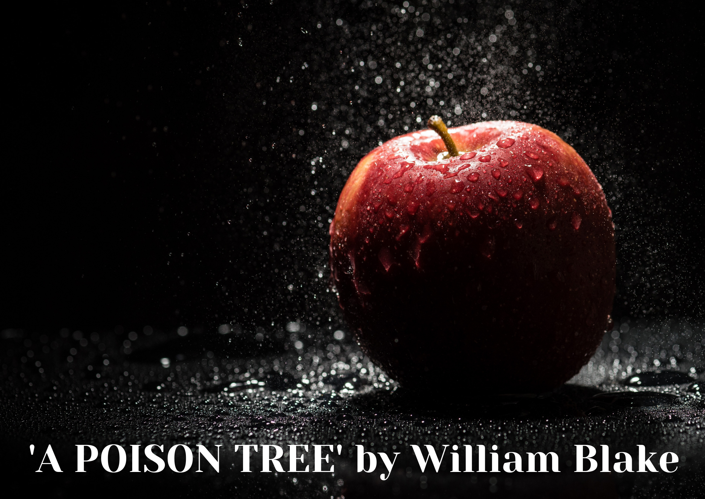 ‘A Poison Tree’ by William Blake. – Track2Training