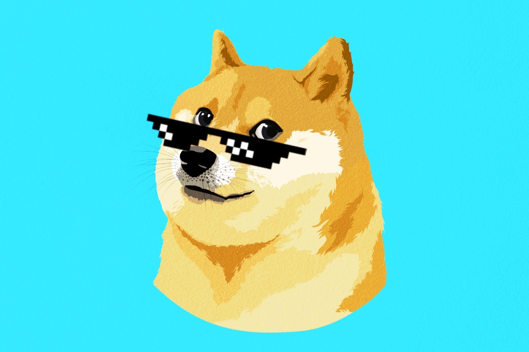 WHAT IS DOGECOIN ? – Track2Training