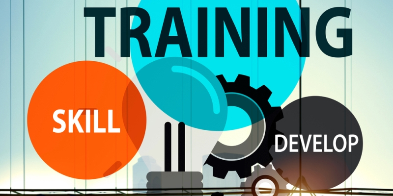 Importance Of Skill Development Curriculum In School – Track2Training