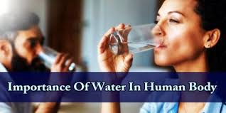 WATER AND THE HUMAN BODY – Track2Training