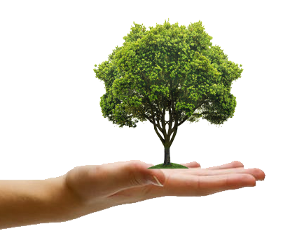 Save Trees – Track2Training