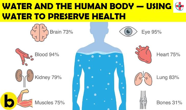 WATER AND THE HUMAN BODY – Track2Training
