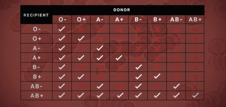 Skill Development – Track2Training