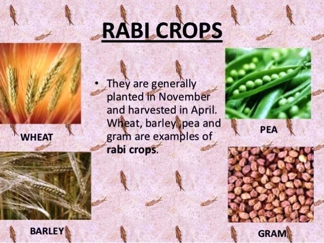 Rabi & Kharif Crops – Track2Training