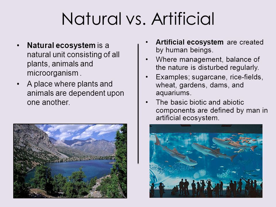 Ecosystems – Track2Training