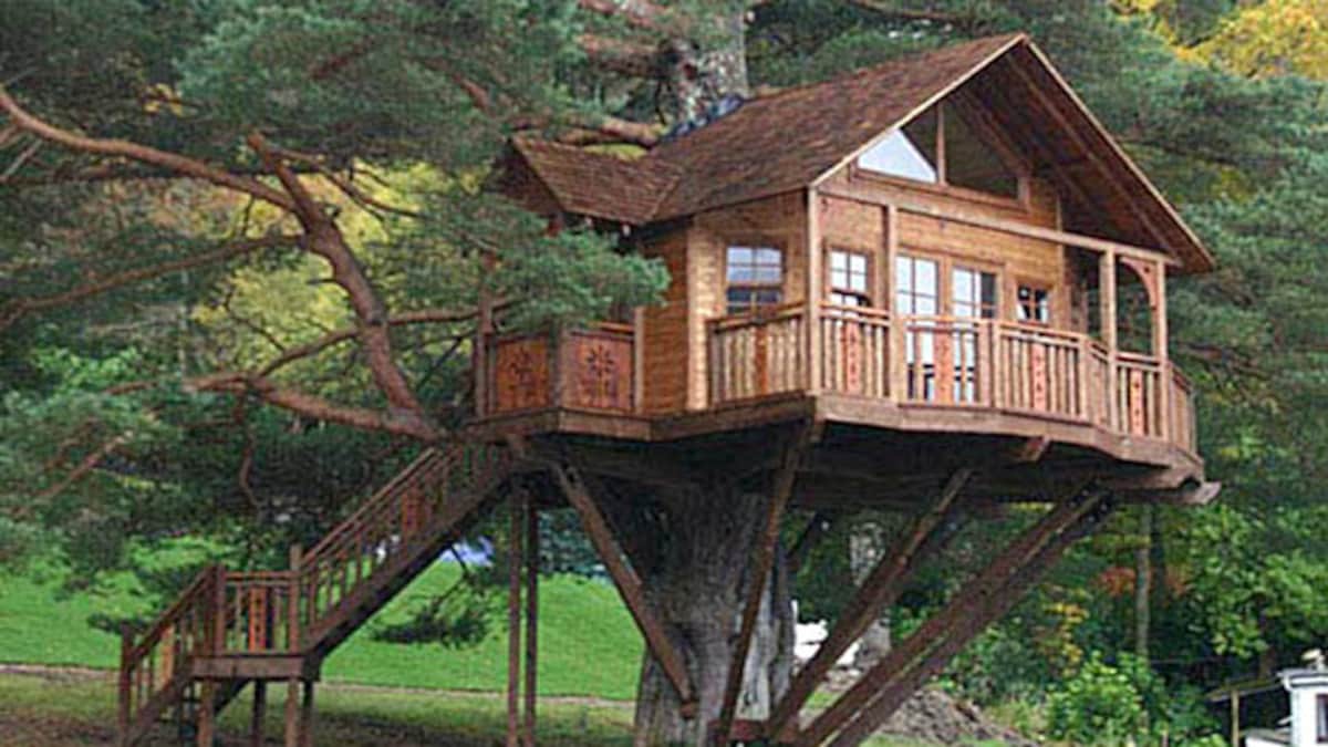 Advantages and disadvantages of of living in a tree house. – Track2Training