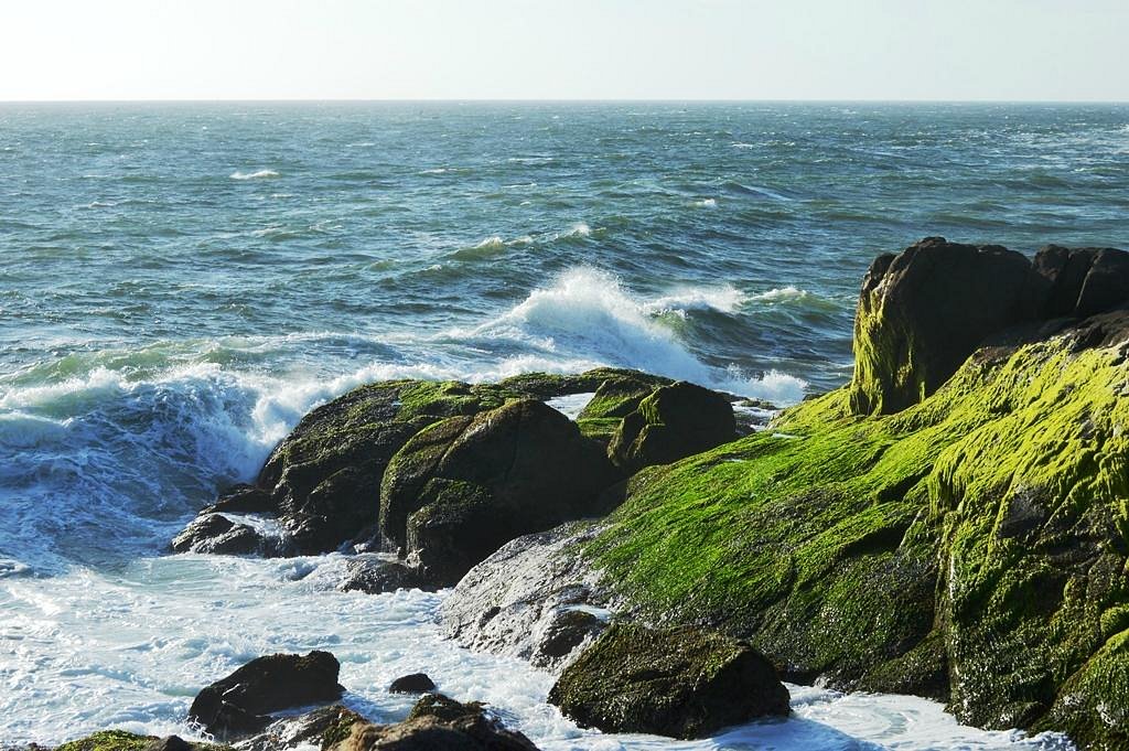 Lighthouses in Kerala – Track2Training