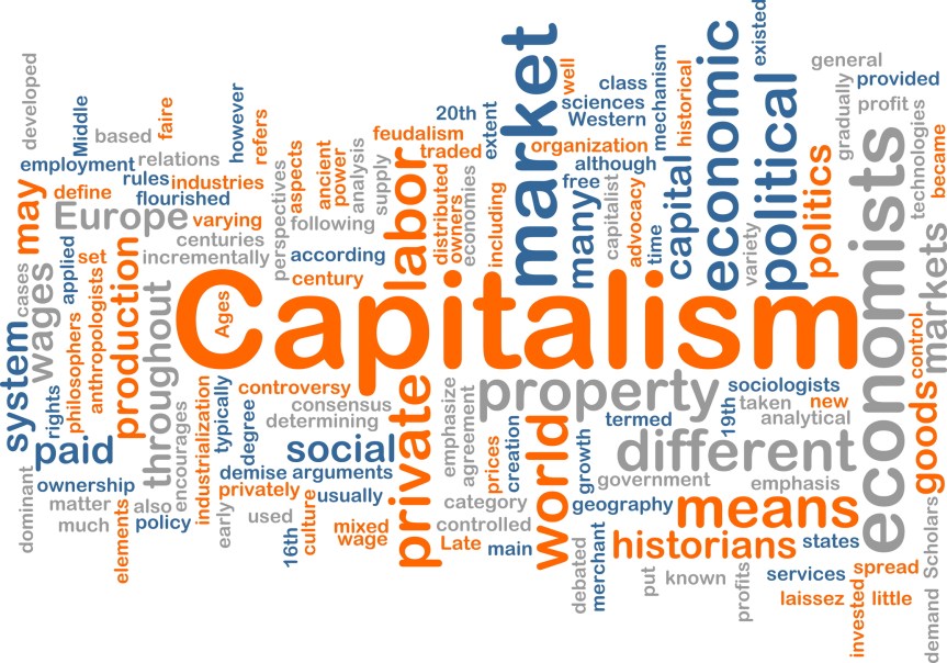 Capitalism in Brief – Track2Training