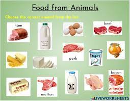IMPORTANCE OF FOOD IN LIFE – Track2Training
