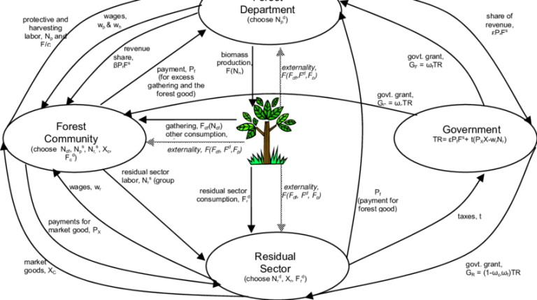 Joint Forest Management in India: Concept, Emergence, and Challenges ...