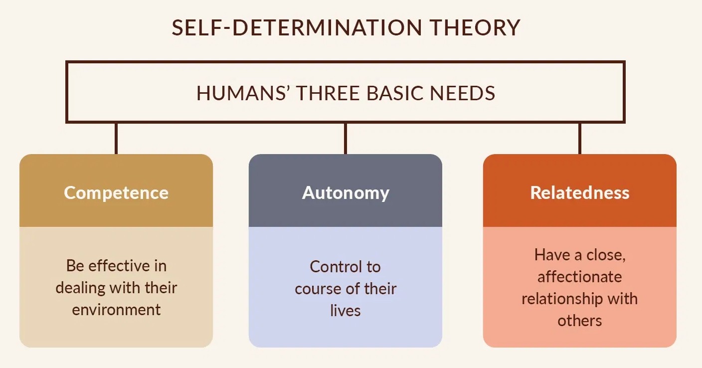 Self-Determination Theory (SDT) – Track2Training